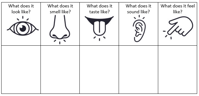 Prep Learning from Home Week 6