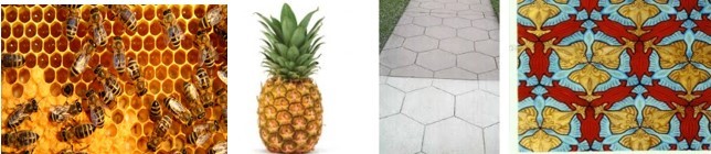 Year 5 Learning from Home Week 6